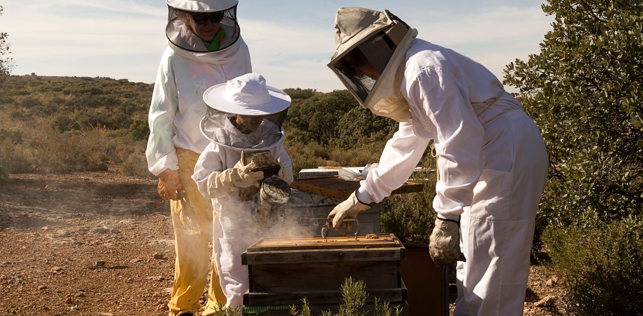 Hidratacija i imunitet cijele obitelji uz prirodni med – Hedera